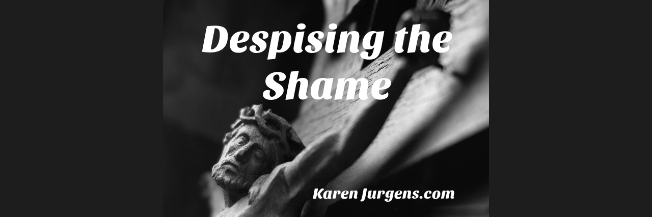 Despising the Shame - Karen Jurgens